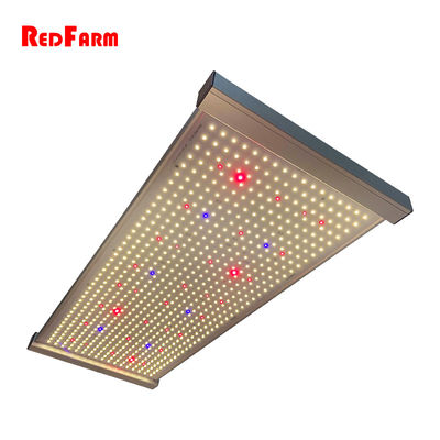 Full Spectrum V2 240Watt G2 Quantum Board LED Grow Lights