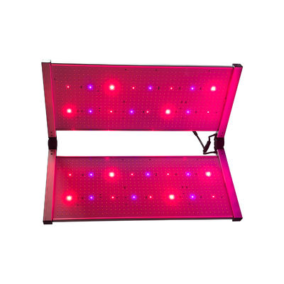 Quality Horticulture LED Grow Light & Full Spectrum LED Grow Lights ...